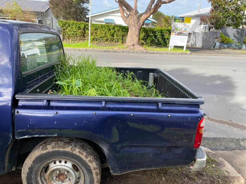 Berm parking ute with mud under wheels and grass in tray close up ...