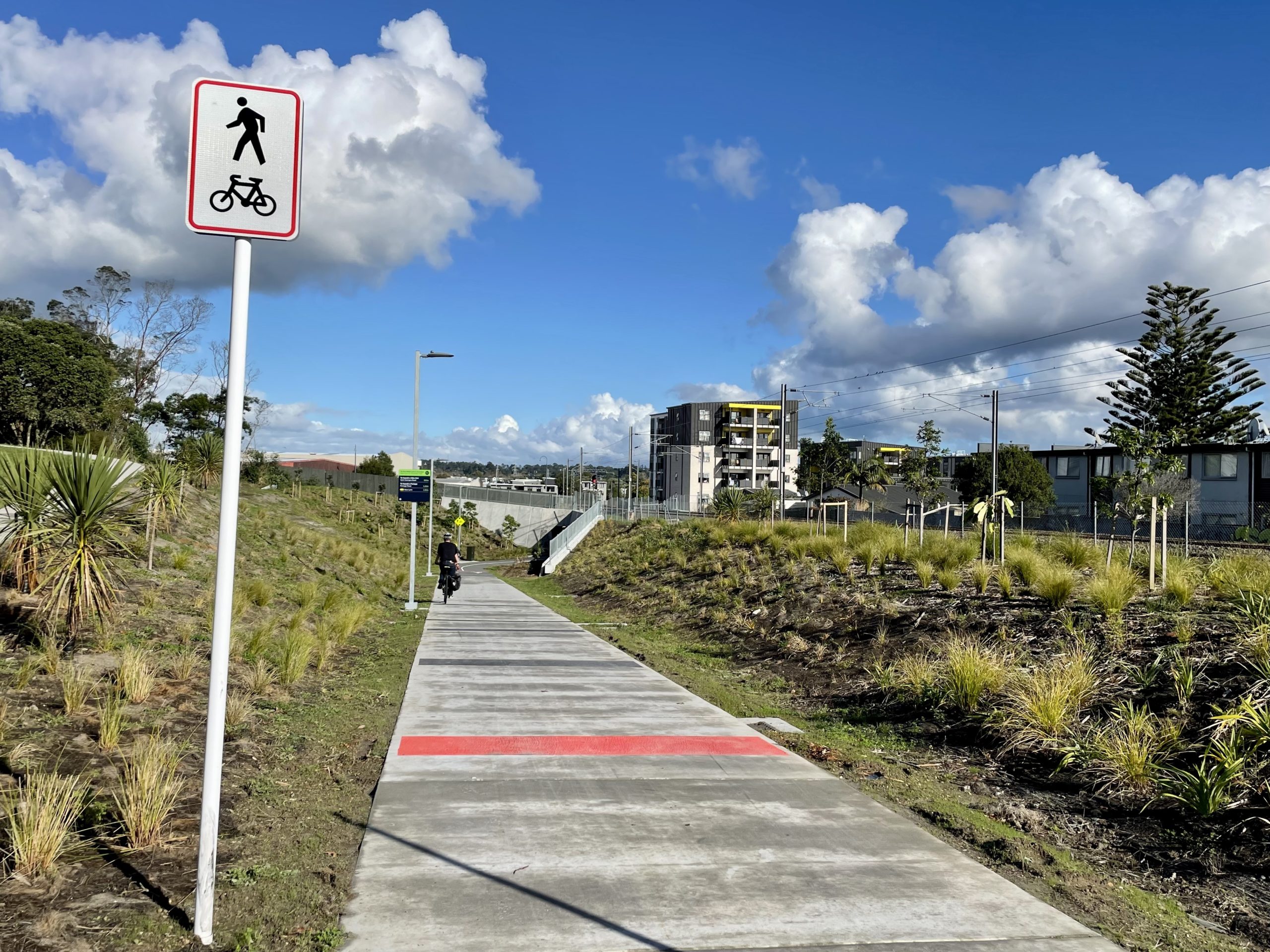 A tale of two paths - Greater Auckland