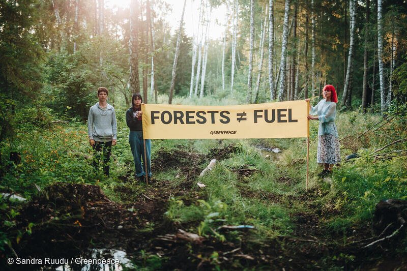 Forests - Fuel - Greater Auckland