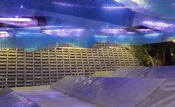 Waimahara at night header image Connor Sharp - Greater Auckland