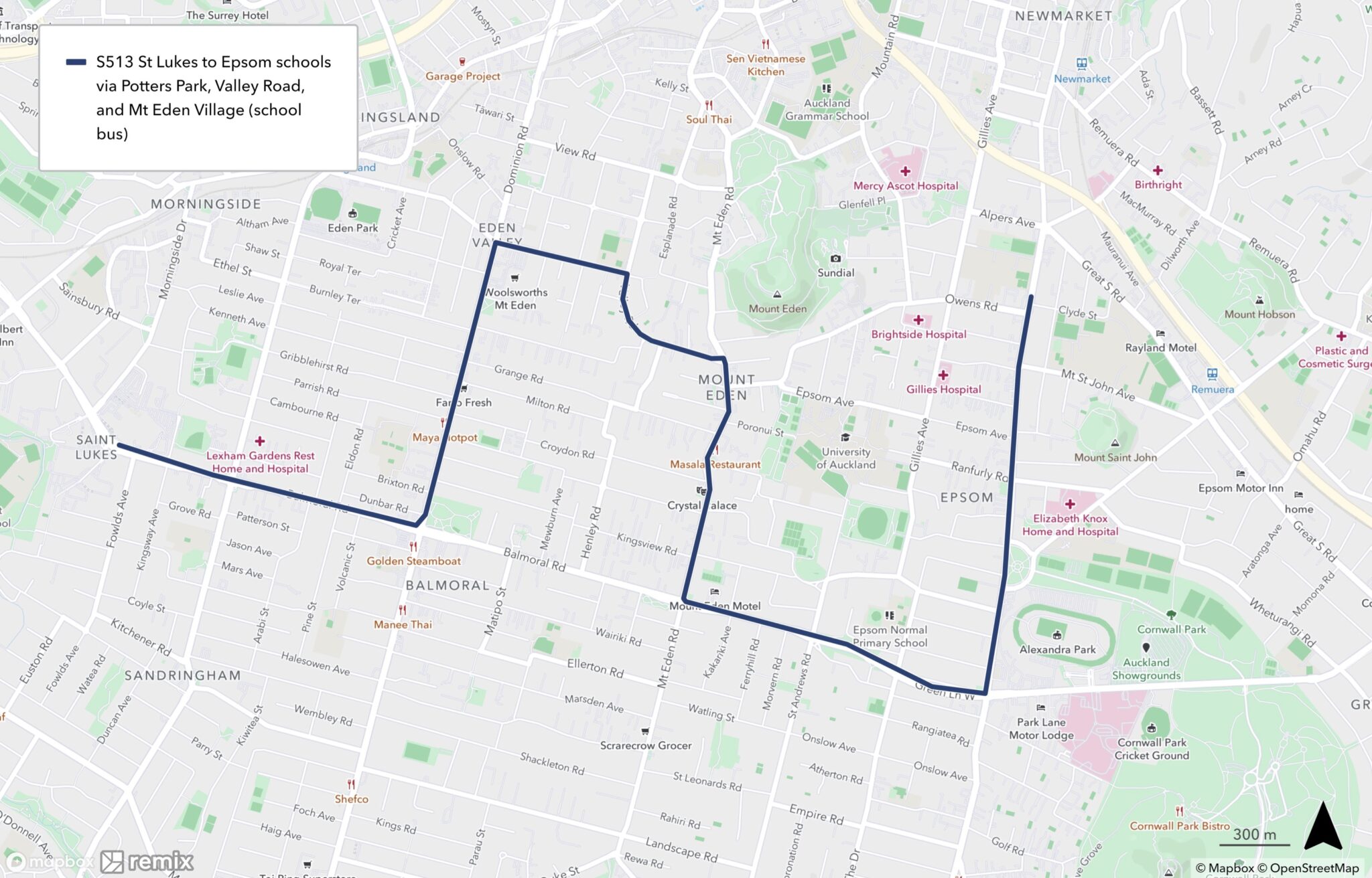 s513-school-bus-map - Greater Auckland