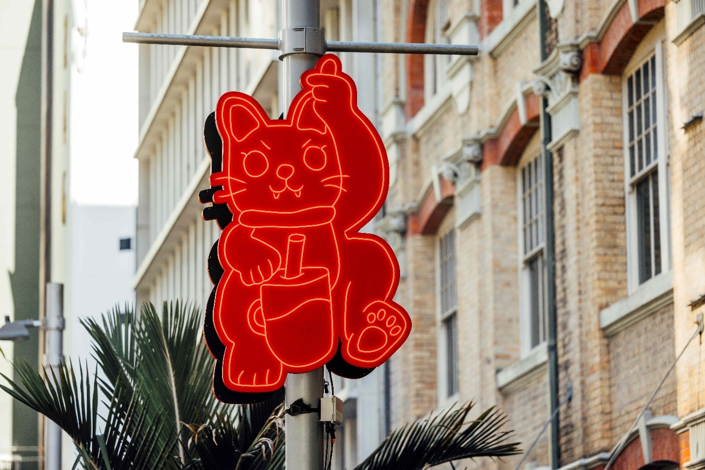 Lunar New Year and the Future of Placemaking - Greater Auckland