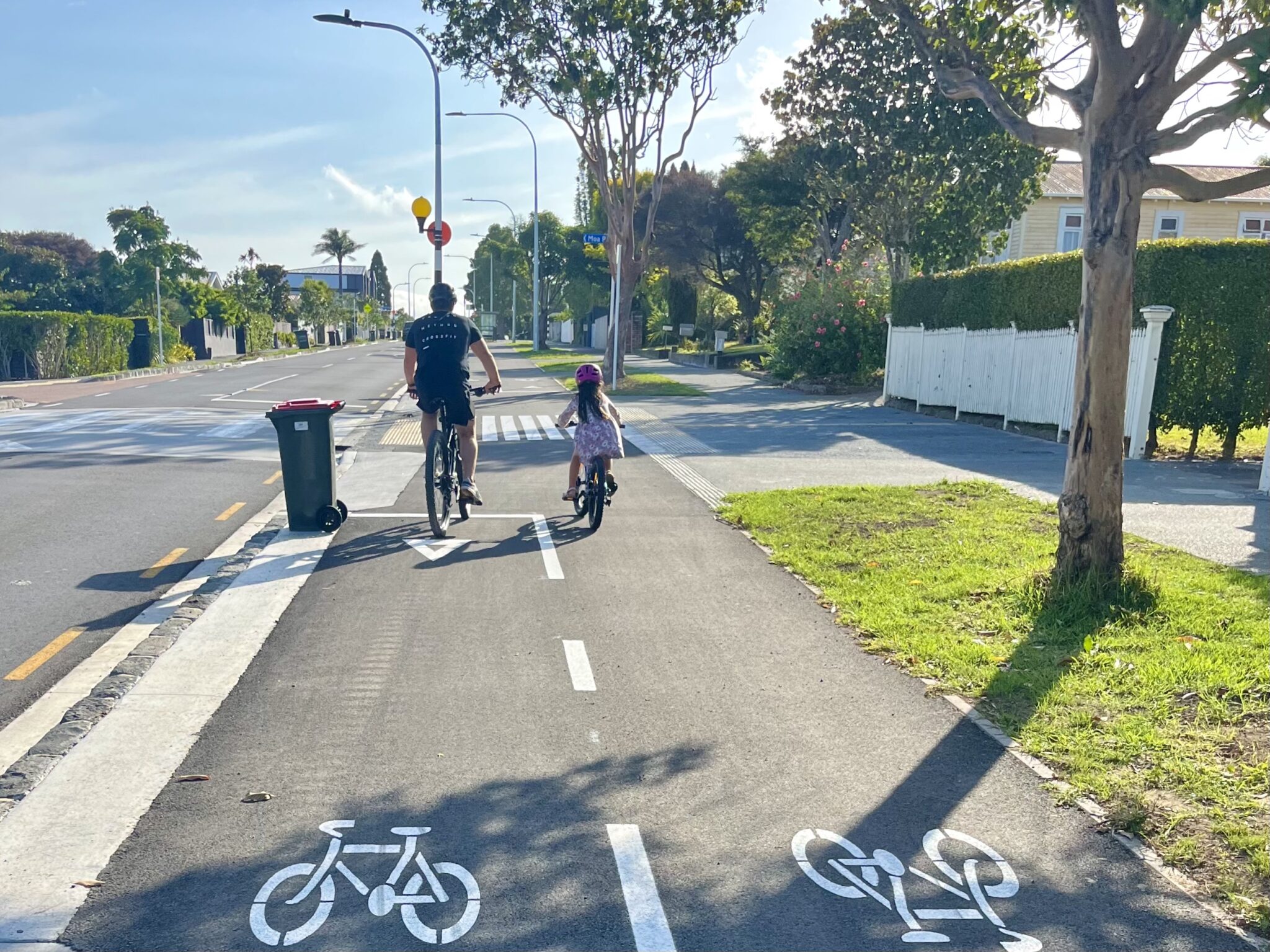 What's up with cycleway ridership? The numbers! - Greater Auckland