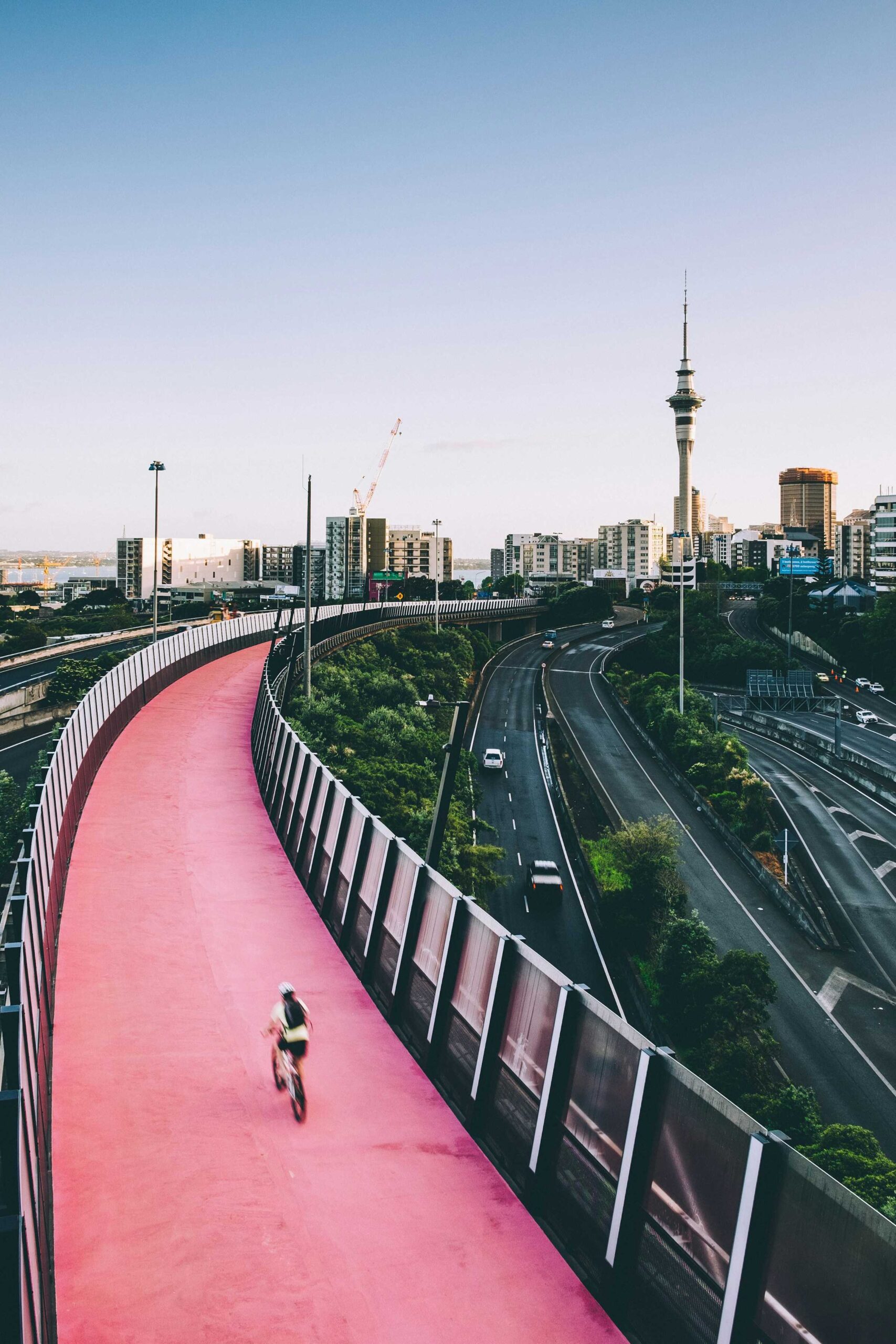 Te Ara I Whiti Lightpath Dan Freeman - Greater Auckland