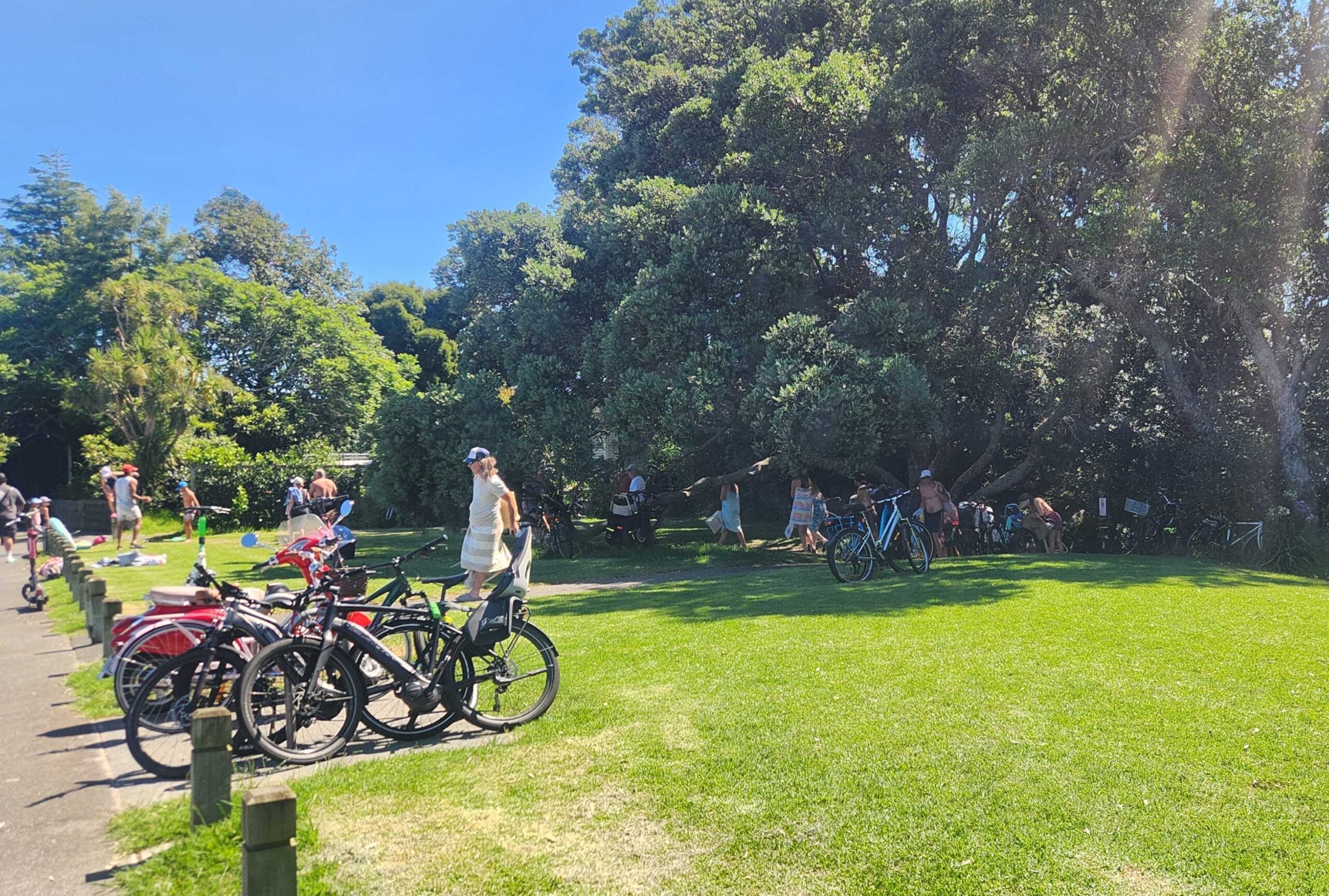 Bikes at Harbour View Reserve Pt Chev beach January 2026 pic by Pippa ...
