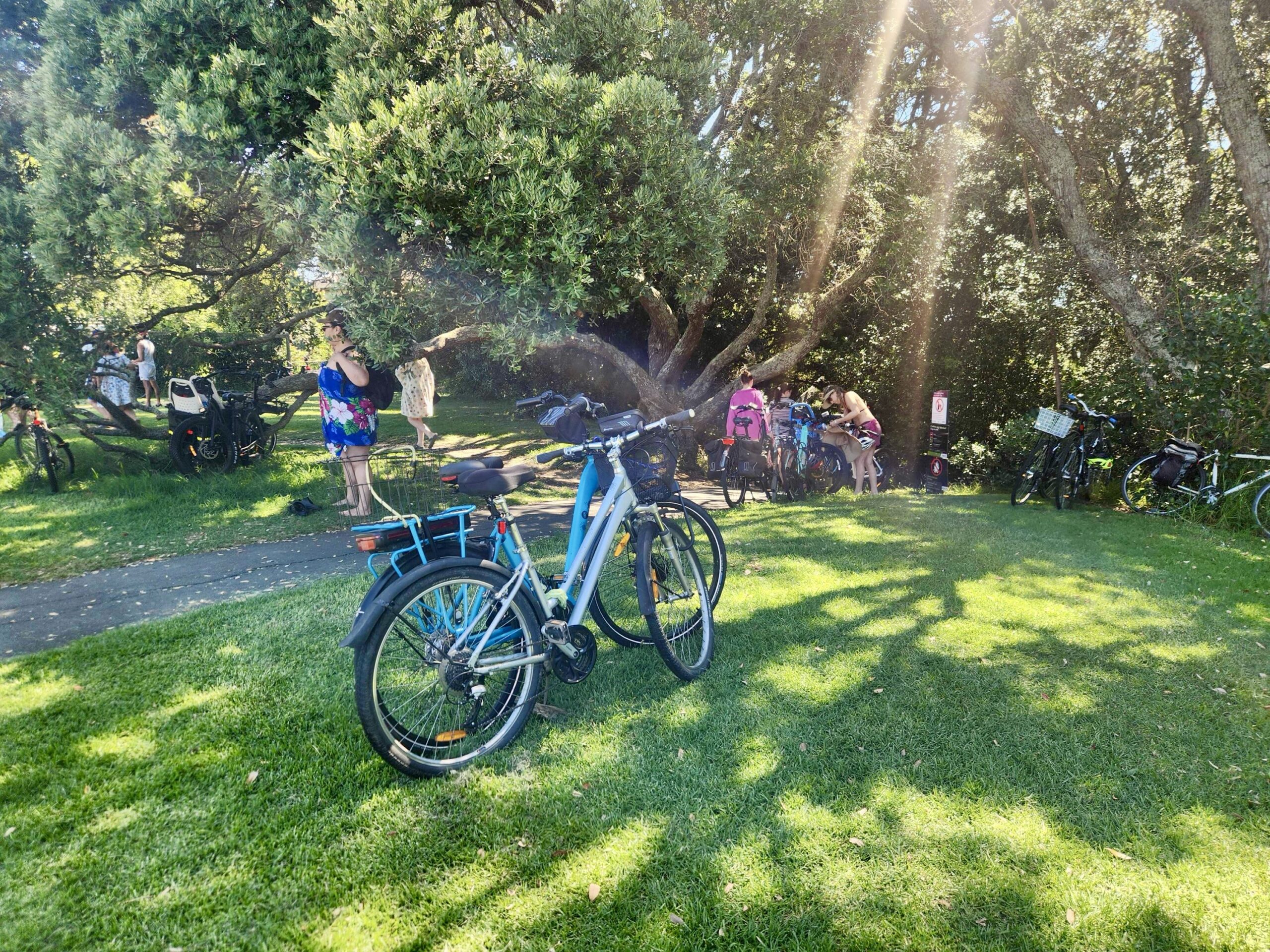 Bikes at Pt Chev beach Janury 2026 pic by Pippa Coom - Greater Auckland