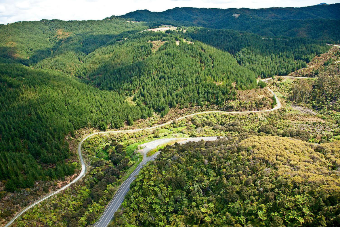 $22,000,000,000 on just one road? - Greater Auckland